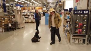 Off Leash K9 Training of Spokane & CDA - Dog Obedience Training ...