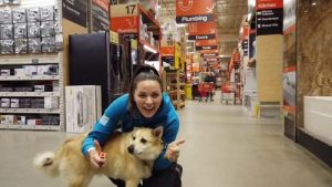 Off Leash K9 Training of Spokane & CDA - Dog Obedience Training ...