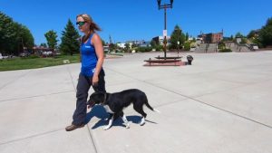 Off Leash K9 Training of Spokane & CDA - Dog Obedience Training ...