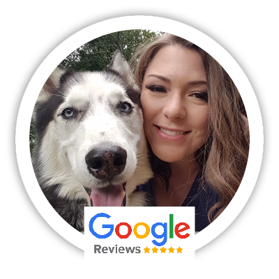 Black Friday Dog Training Sale – Limited-Time Offers!